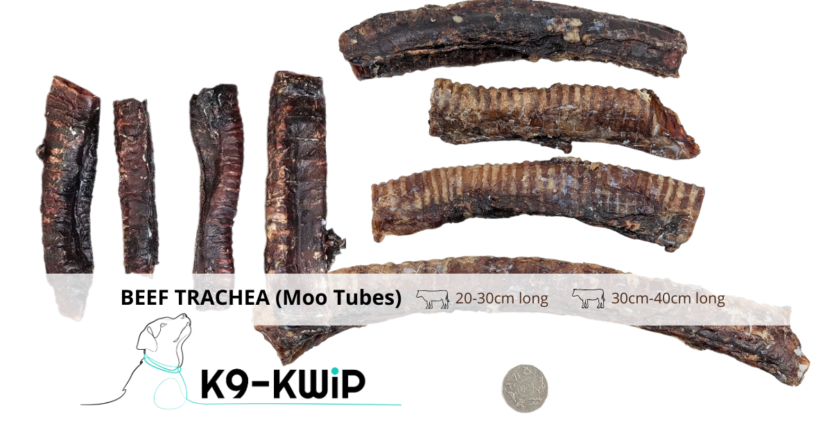 BEEF Trachea (MOO CHEWS) | K9-KWiP